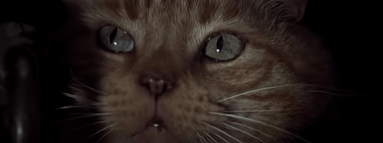 Famous Orange Cats - Pop Culture's Iconic Ginger Felines