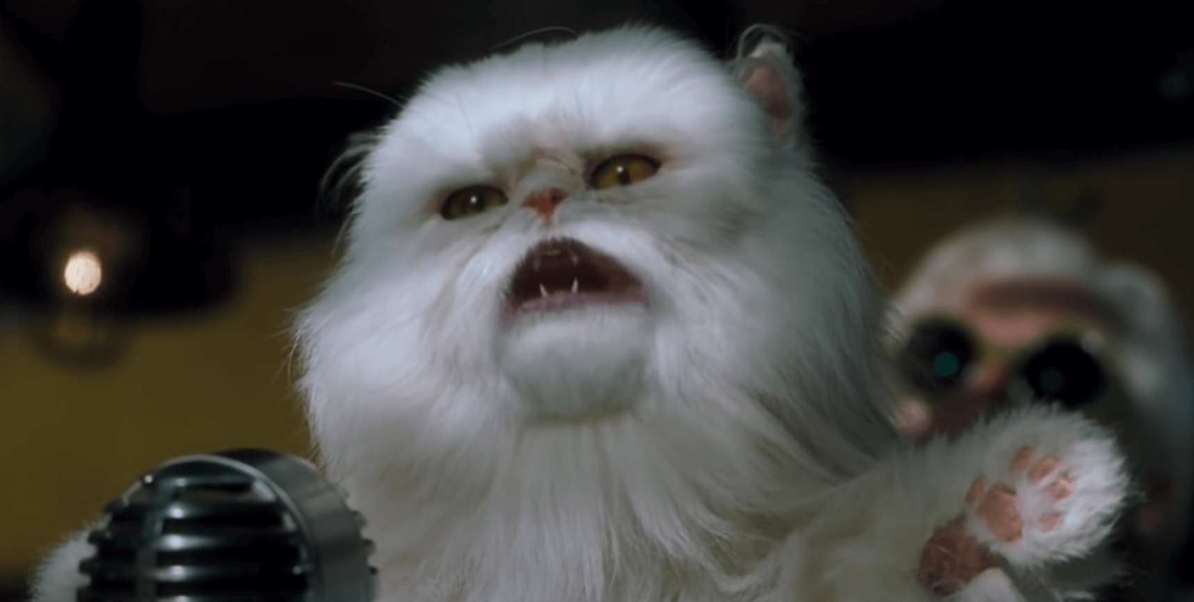 Famous White Cats - Icons from Movies, TV, and Literature